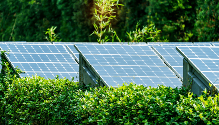 Everything you need to know about SFDR's Article 9